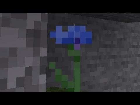What Biomes Have Blue Orchids In Minecraft