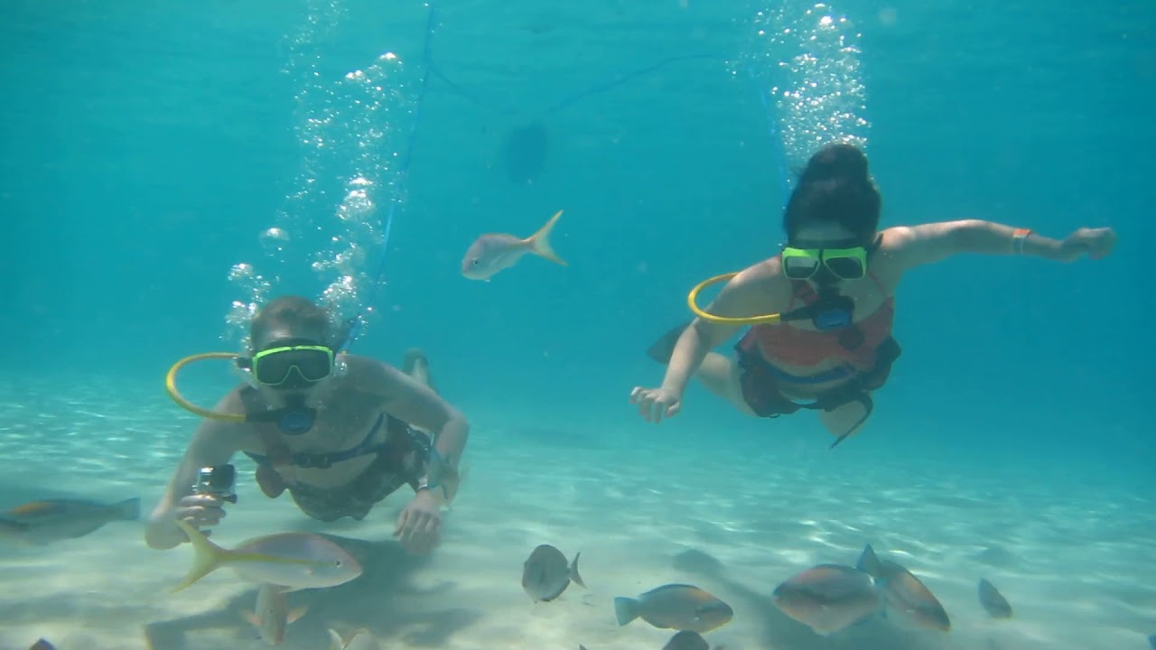 SNUBA Diving in St. Thomas - YouTube