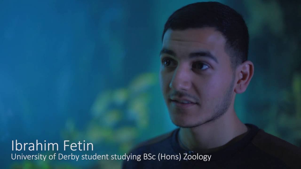 Making waves in the aquarium research community - YouTube