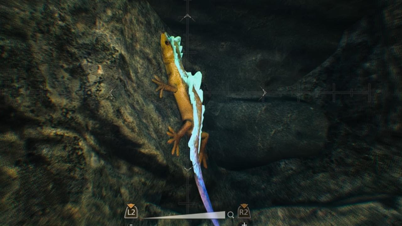 Monster Hunter Wilds Beta: Smokeshroud Gekko Endemic life - YouTube