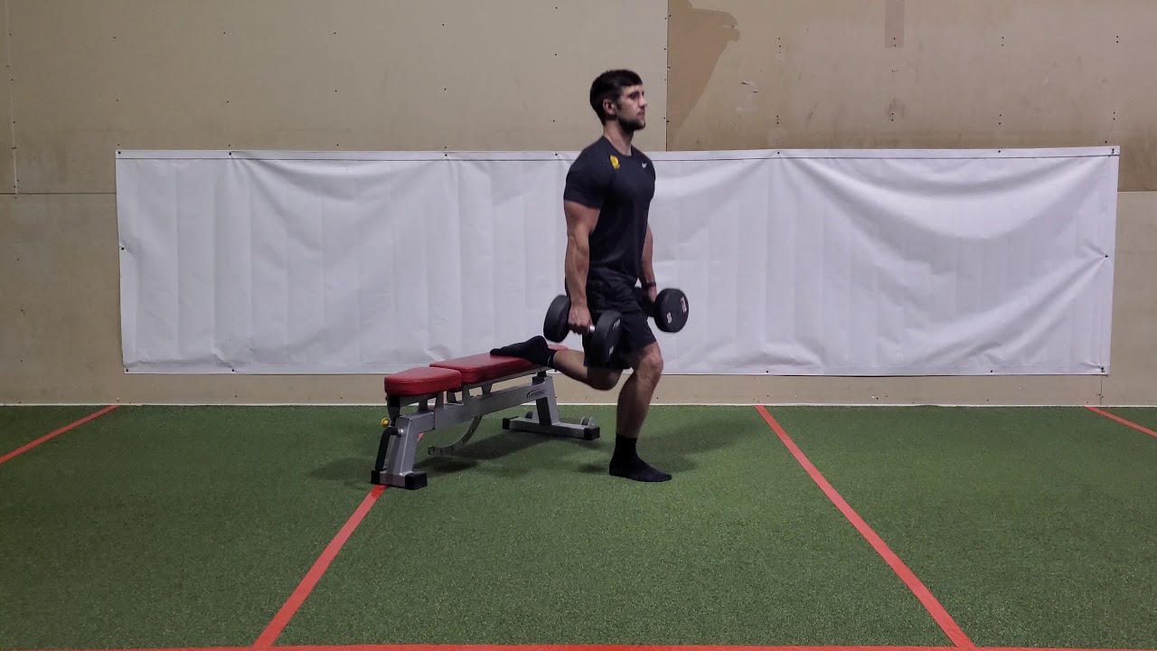 Double Dumbbell Rear Foot Elevated Split Squats - YouTube