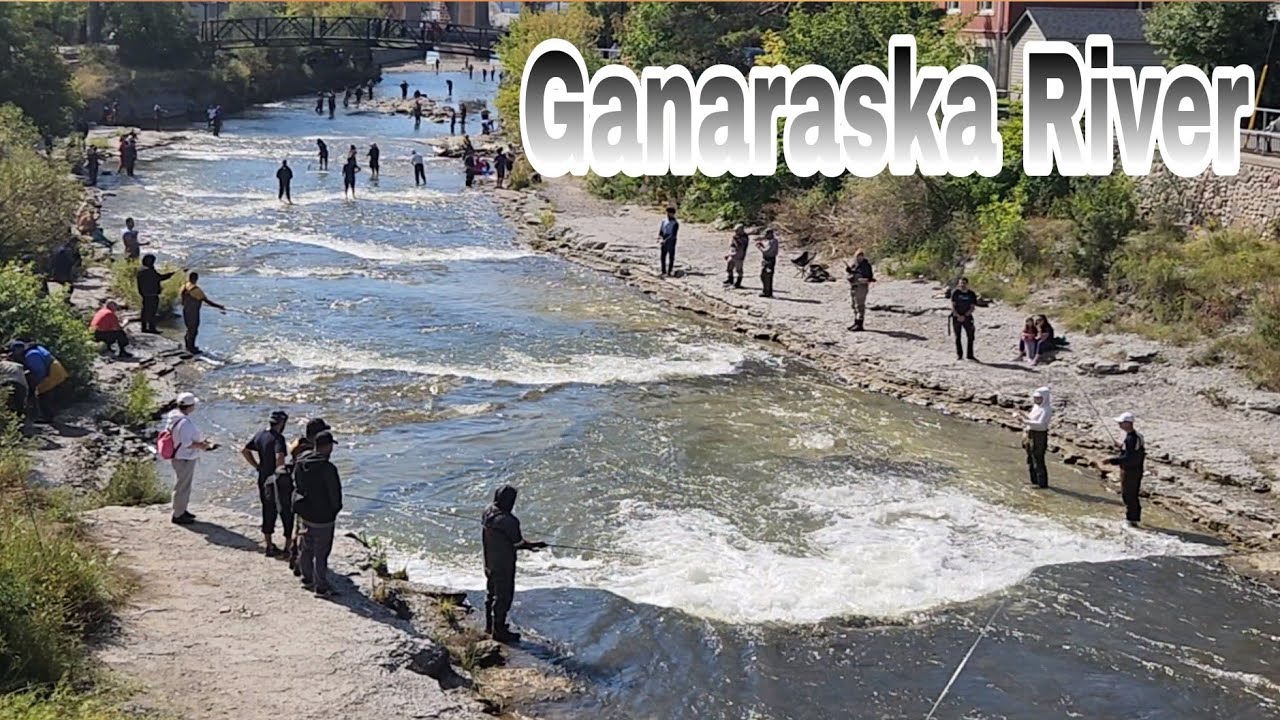 Salmon Run at Ganaraska River #fishingvideo September 16 2023 - YouTube