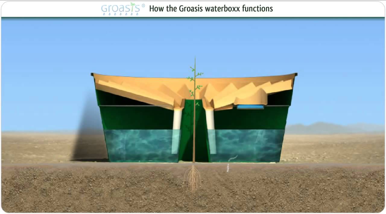 How does the Groasis waterboxx work against desertification - YouTube