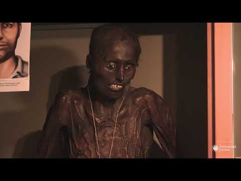 Visita al Museo di Anatomia Umana \