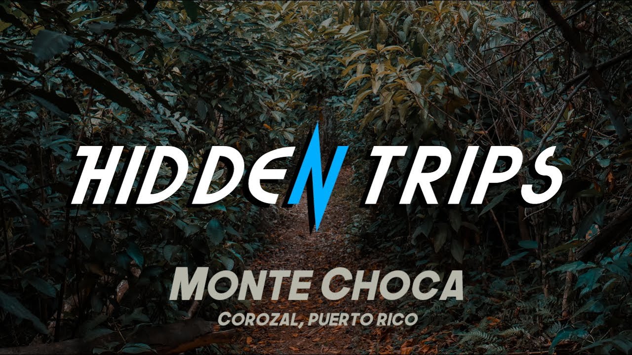 Monte Choca! Un bosque único en Corozal, Puerto Rico - YouTube
