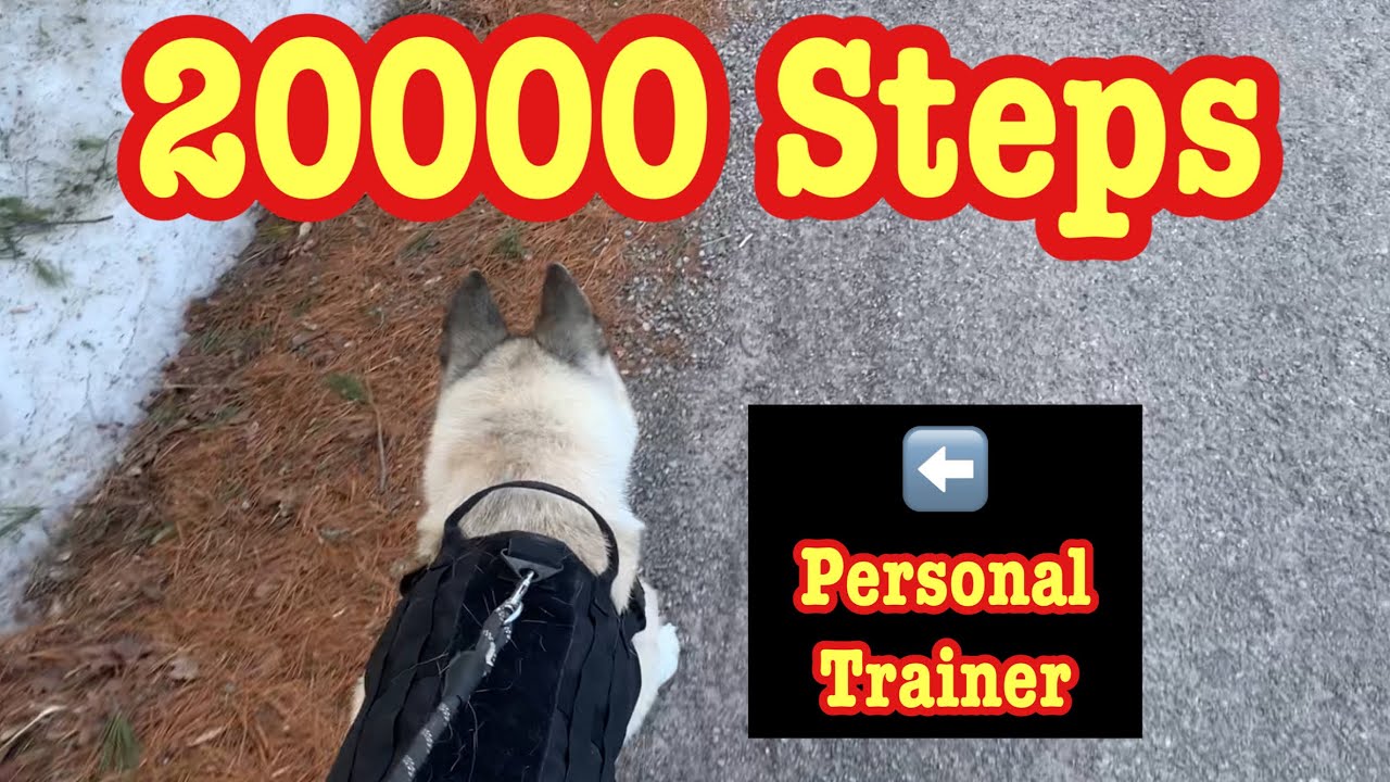 Abby Makes Me Do 20000 Steps - YouTube