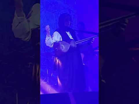 Masoud Sadeghloo - Zade Baroon I Live In concert ( مسعود صادقلو - زده بارون )