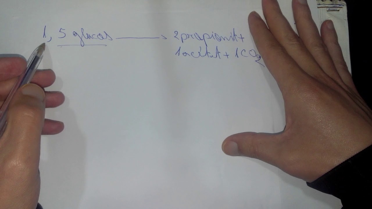 Microbiologie partie 6 : fermentation acetique et méthanique et TD شرح ...