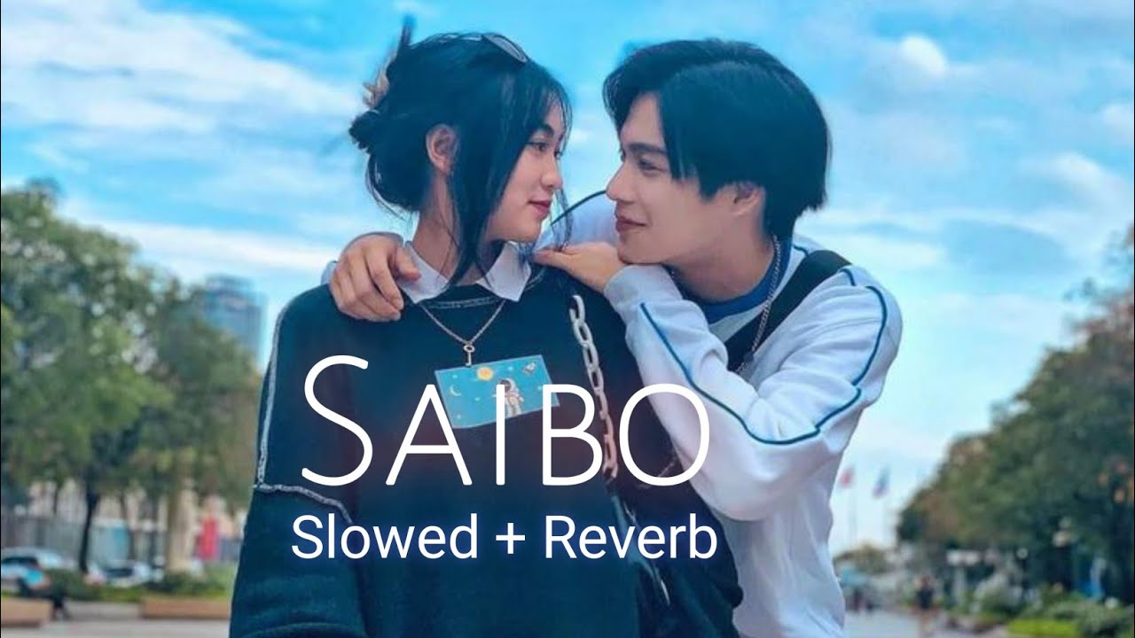 Saibo - Slowed Reverb | Synctunes 🌸 - YouTube