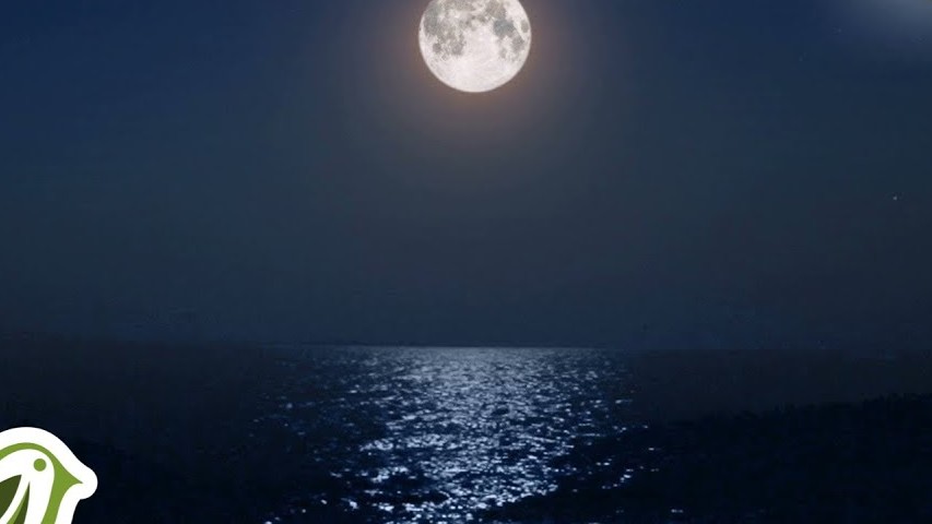 Ocean Waves And Relaxing Music