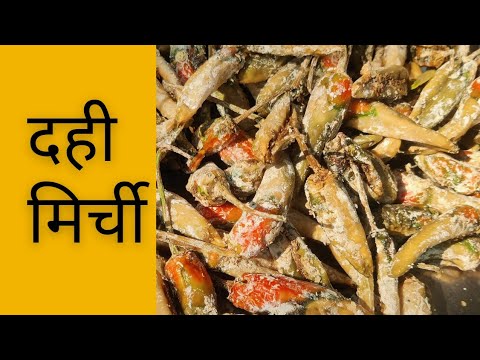दही मिर्ची रेसिपी || Dahi Mirchi Recipe || Sandgi mirchi,Dry curd ...