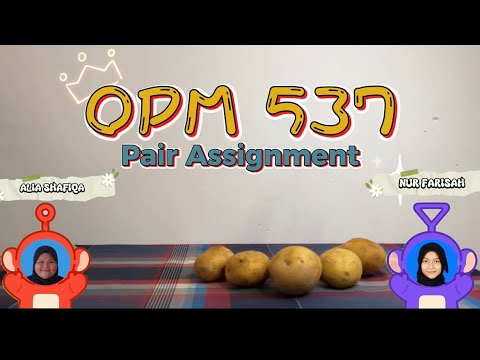 OPM 537 Pair Assignments- How to make mashed potatoes popcorn bowl - YouTube