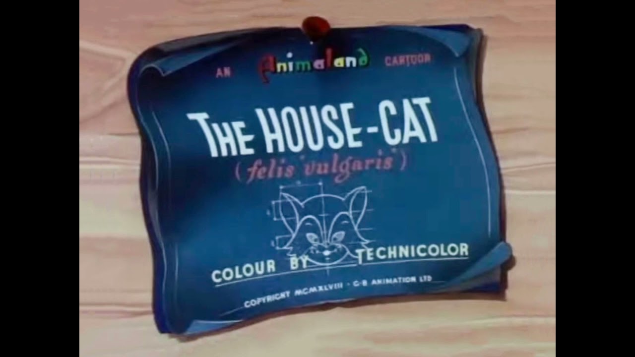 David Hands Animaland: The House Cat (felis vulgaris) (1948) Recreated ...