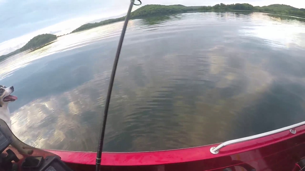 rippin rap walleye - YouTube