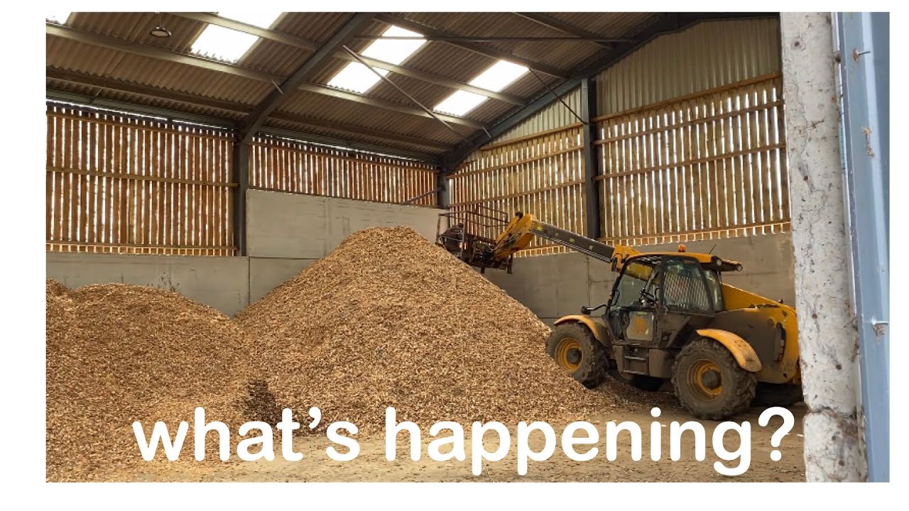 Sorting out the yard - YouTube
