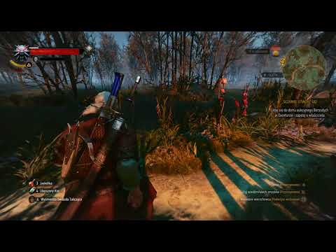 HP OMEN 15 -ce008nw Witcher 3 test