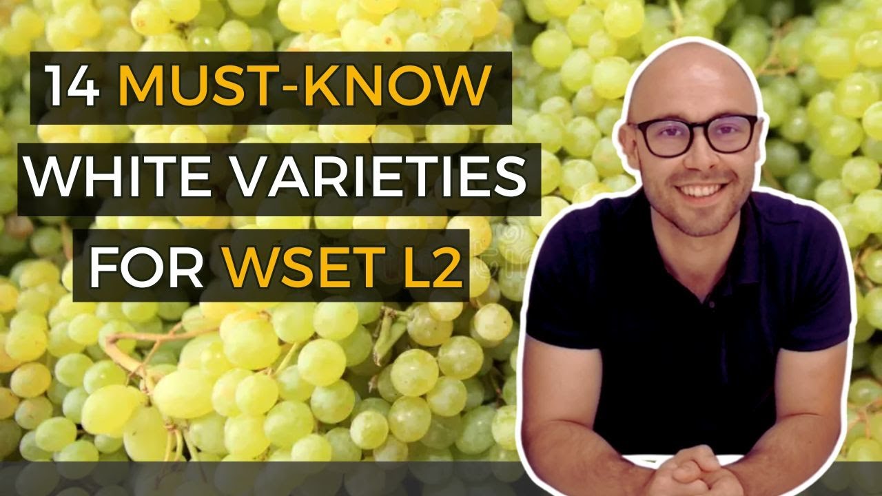 Ace Your WSET Level 2 in Wines Exam: 14 MUST - KNOW White Grape ...
