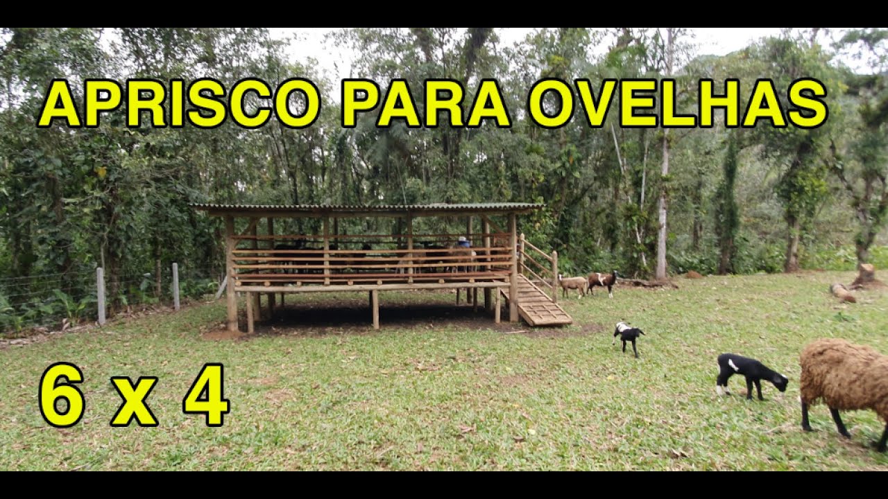 Aprisco para ovelhas / Ovinos / Cabras - Sugestão para construção - YouTube