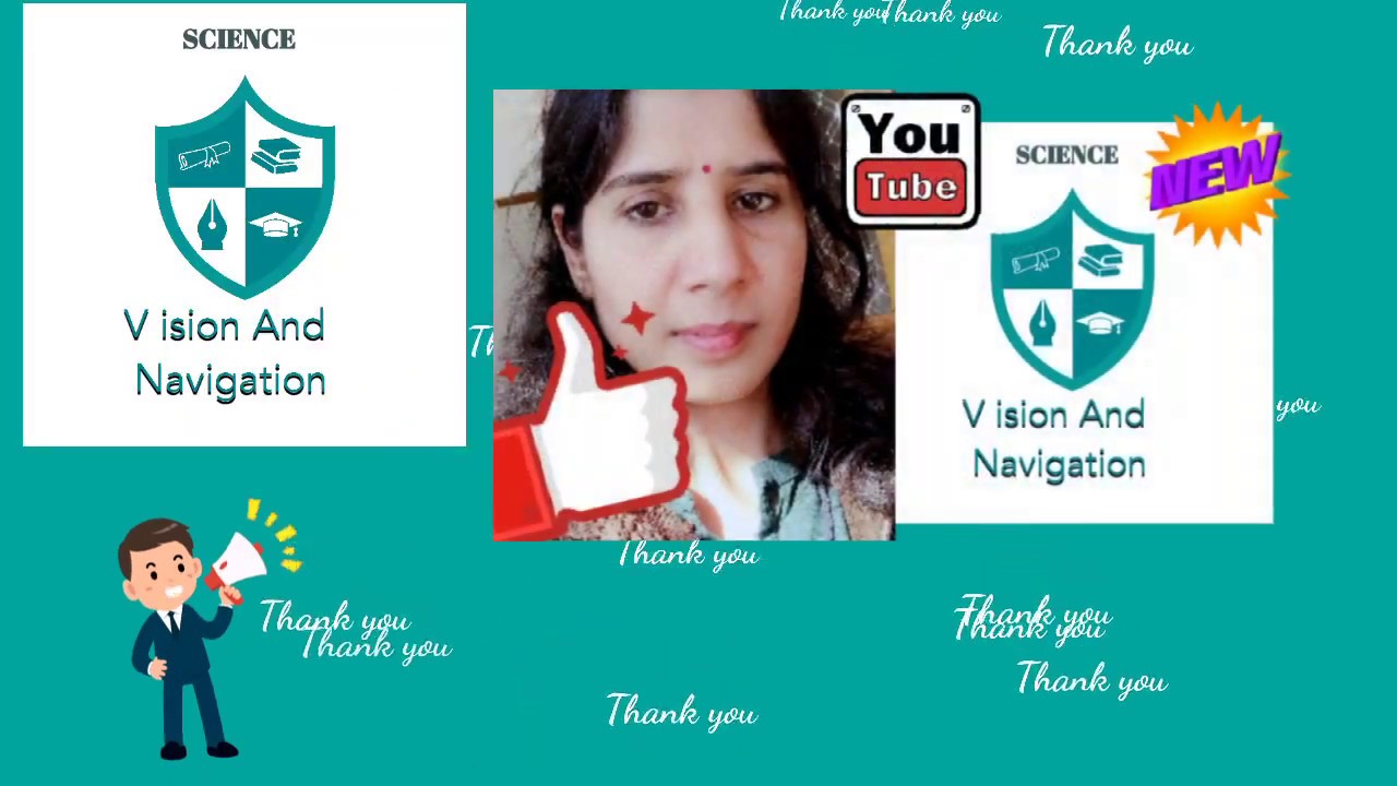 STRUCTURE OF HEART CLASS 10 LIFEPROCESS NCERT KVIIT VANDANA YouTube structure-of-heart-class-10-lifeprocess-ncert-kviit-vandana-youtube