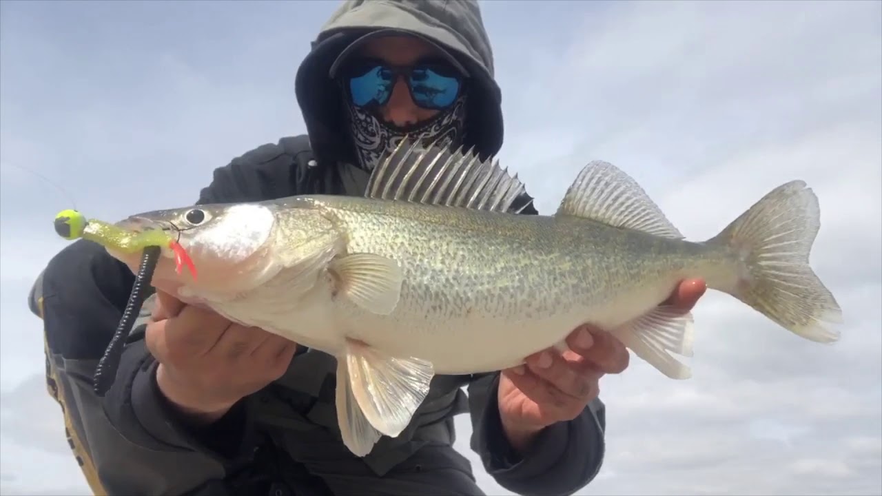 Walleye Wednesday - Sept. 2019 - YouTube
