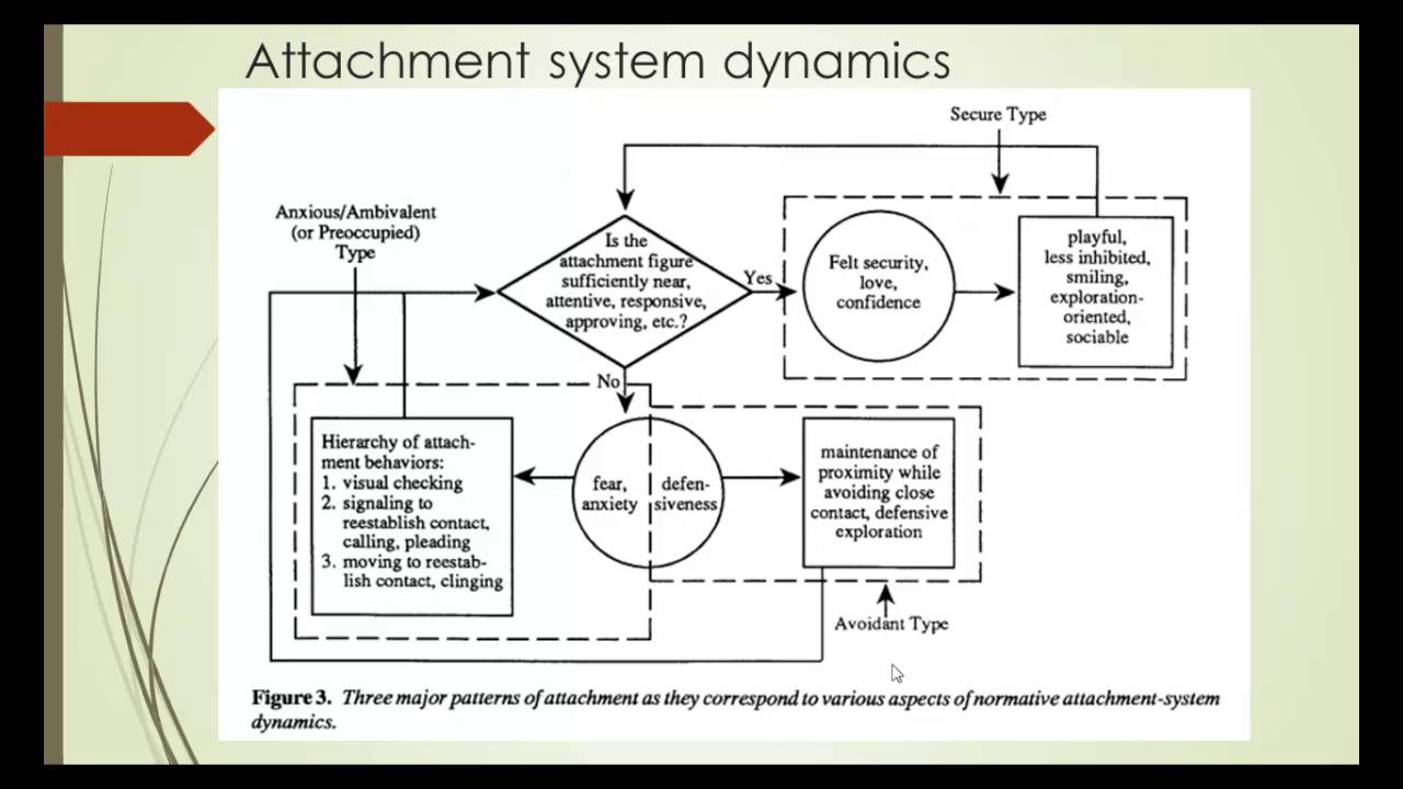 Lecture 9 EFT Stage 3 Steps 8 & 9 - YouTube