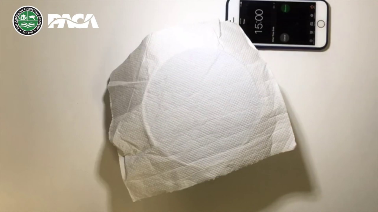 How to Make a Pizza: PACA - YouTube