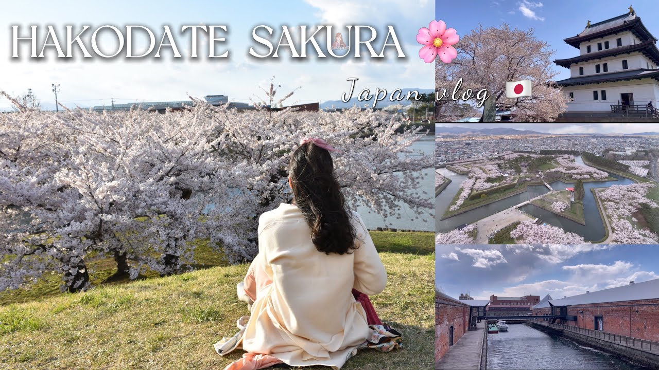 Hakodate Sakura Trips Part 2🇯🇵 / พาชมปราสาทช่วงซากุระ ดูวิวสวนซากุระ Goryokuku เดินดูร้านขายของ ...