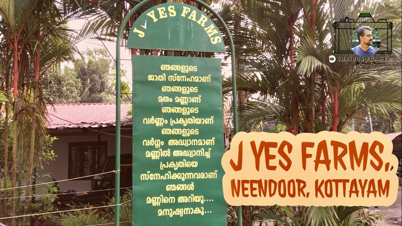 JYES Farms, Neendoor, Kottayam |J YES Farms, Neendoor |Joy Chemmachel ...
