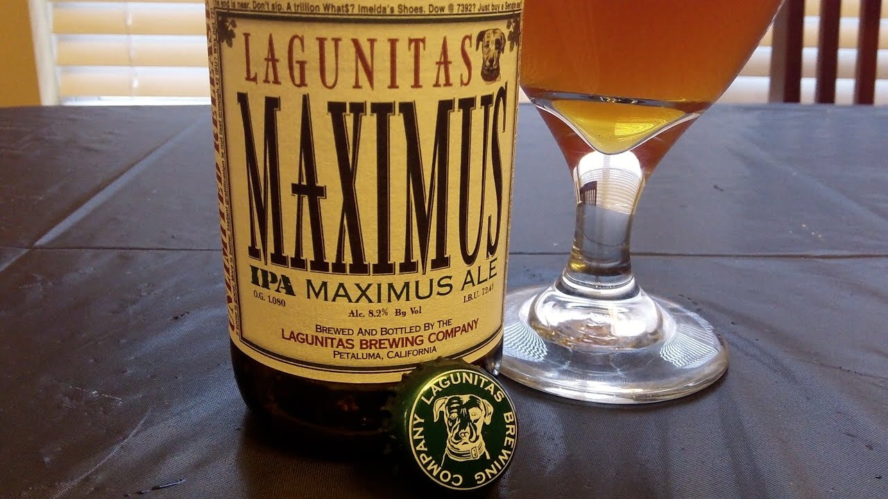 Lagunitas Maximus IPA (8.1% ABV) DJs BrewTube Beer Review #647 - YouTube