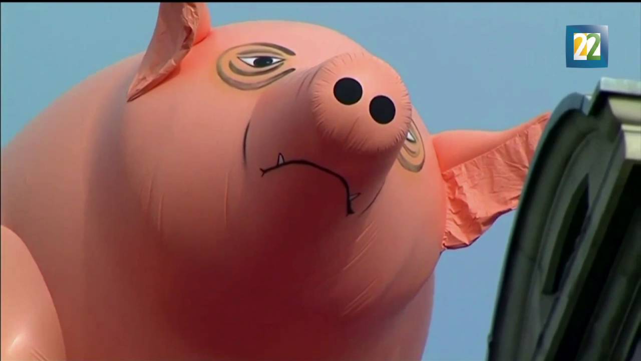 Breves Internacionales. Cerdo volador anuncia exposición de Pink Floyd ...