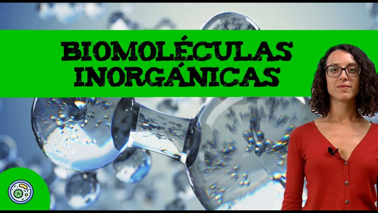Biomoleculas inorganicas 🔬 ejemplos y funcion - YouTube