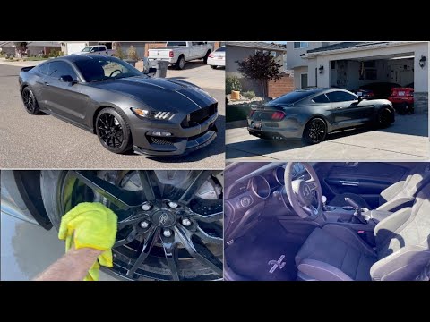 Shelby GT350 gets a full detail wash clay bar wax interior cleaning ...