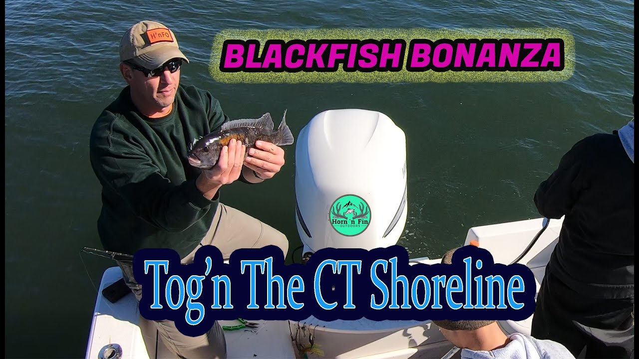 Jigging Up Some Blackfish On The Connecticut Coastline - YouTube
