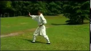 Shaolin Da Luo Han Quan Yi Er San Lu 少林大罗汉拳一二三路 - YouTube