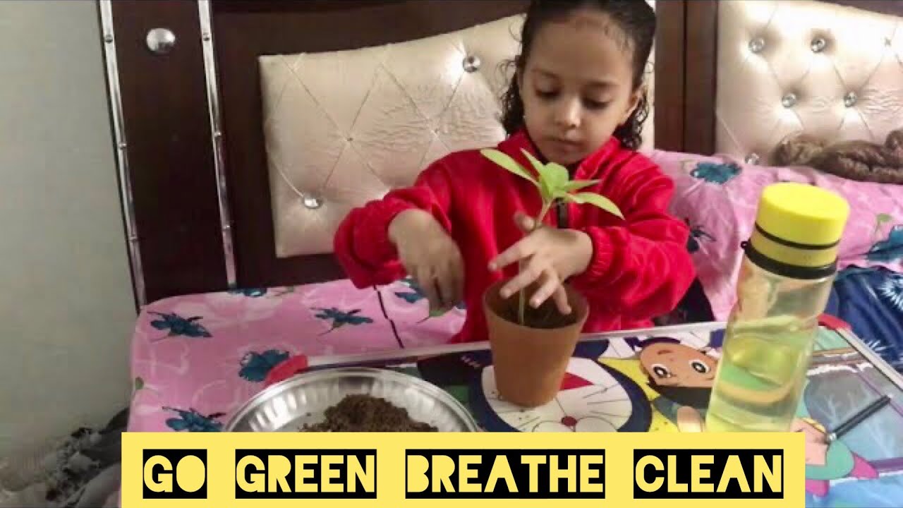 Go green breathe clean🌴🌳🏡#savenature #kids#plantatree#globalwarming # ...