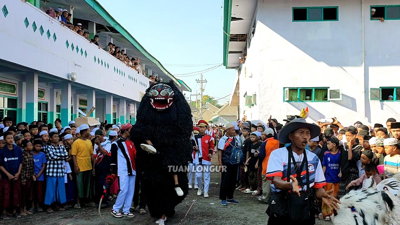 PONDOK PUTRA 🤗MACAN BARU!!!LIVE PP WALISONGO SITUBONDO | DRUMBAND CAN ...