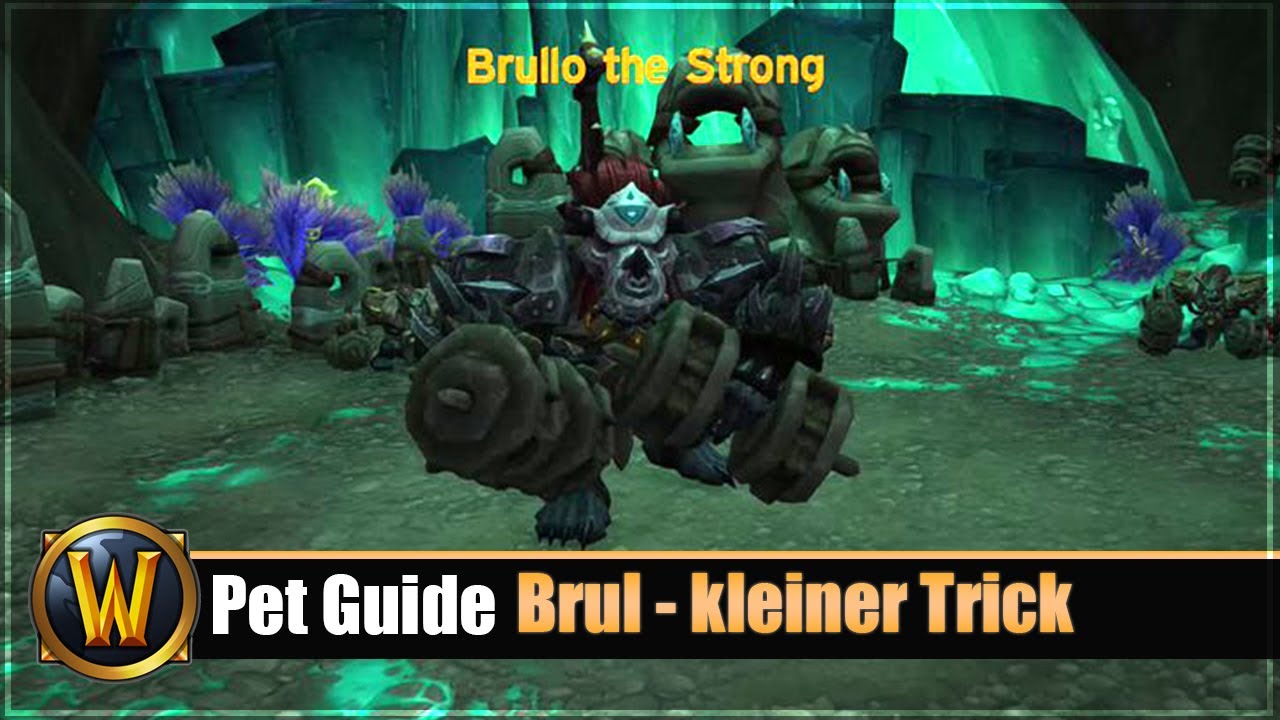 Pet Guide: [Brul] - kleiner Trick - YouTube