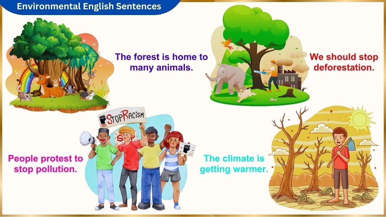 Environmental English: Key Words and Simple Sentences - YouTube