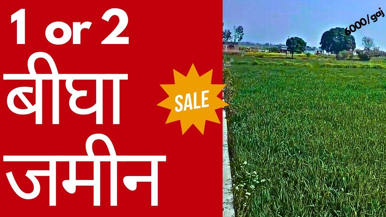 2 Bigha Plot for Sale Dehradun - बिक्री के लिए 2 बीघे का प्लॉट देहरादून ...