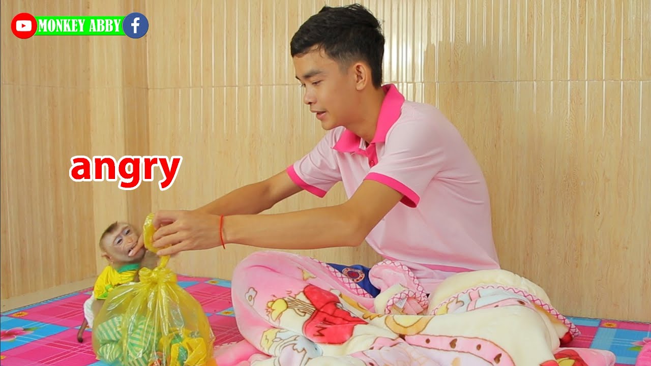 Crying Baby Monkey ABBY Wicked While Playing, Sok Hean stole and bitt ...