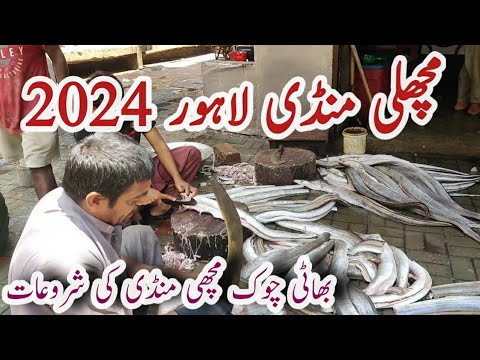 Lahore Bhati Gate Fish Market | Wholesale Fish Market Lahore | Fish ...