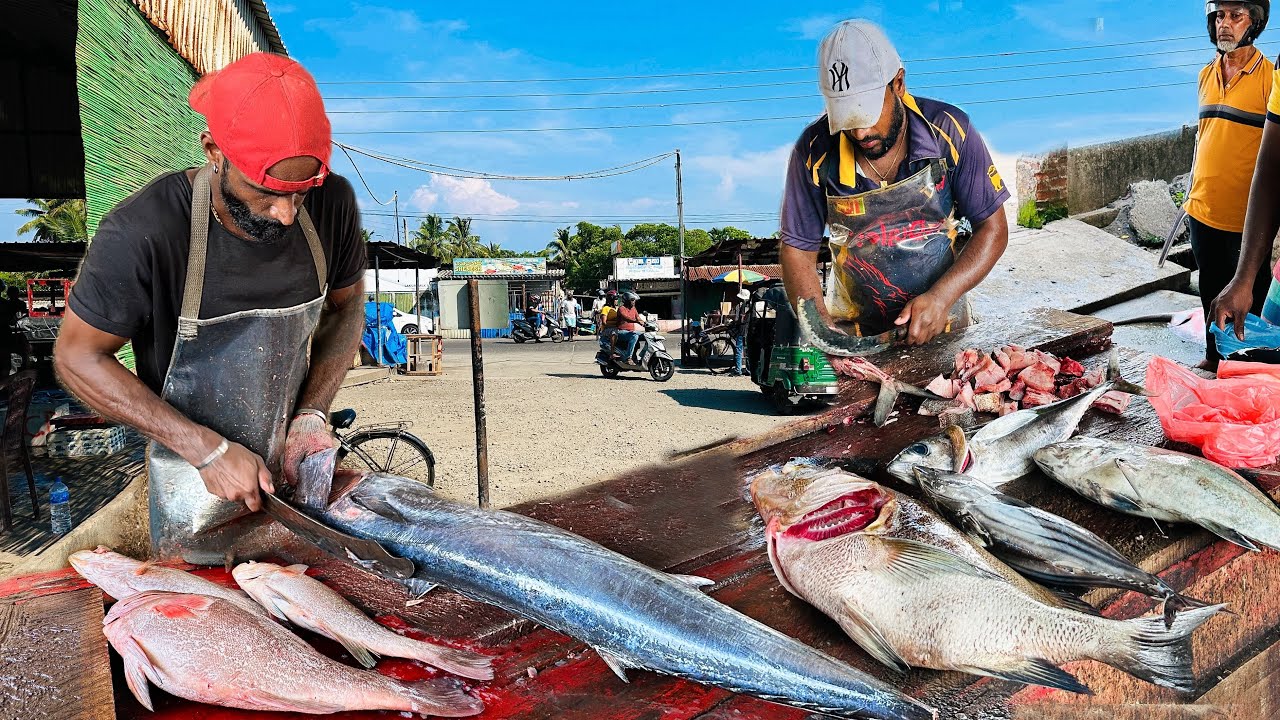 AMAZING!! ATTRACTIVE STREET FISH MARKET STUNNING SATISFACTORY FISH ...