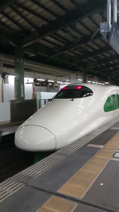 E2系J73とJ66リバイバルカラーの並び 新潟駅 2022年12月1日 - YouTube