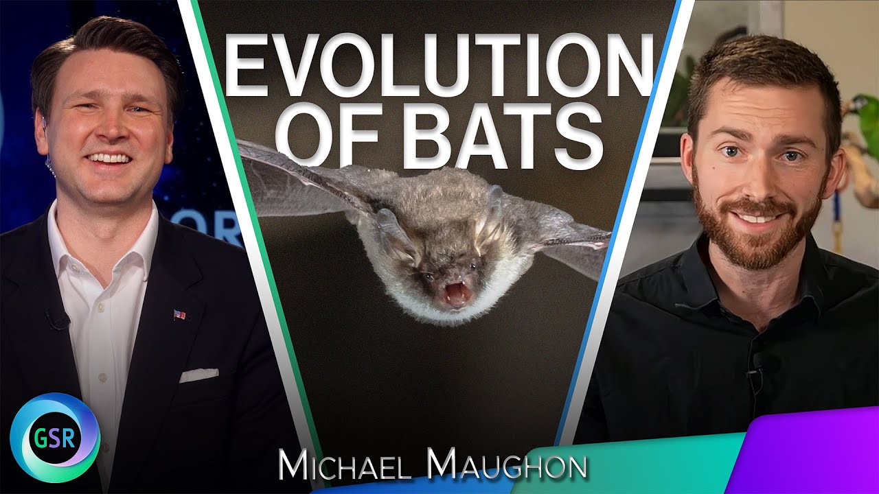 Evolution of Bats l Michael Maughon & David Rives on Genesis Science ...