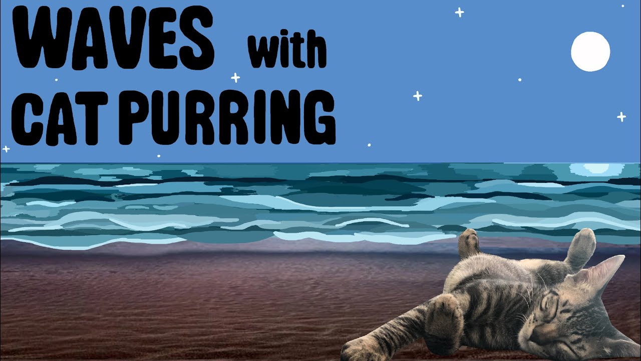 WAVES SOUND WITH CAT PURRING: ASMR TO RELAX - YouTube