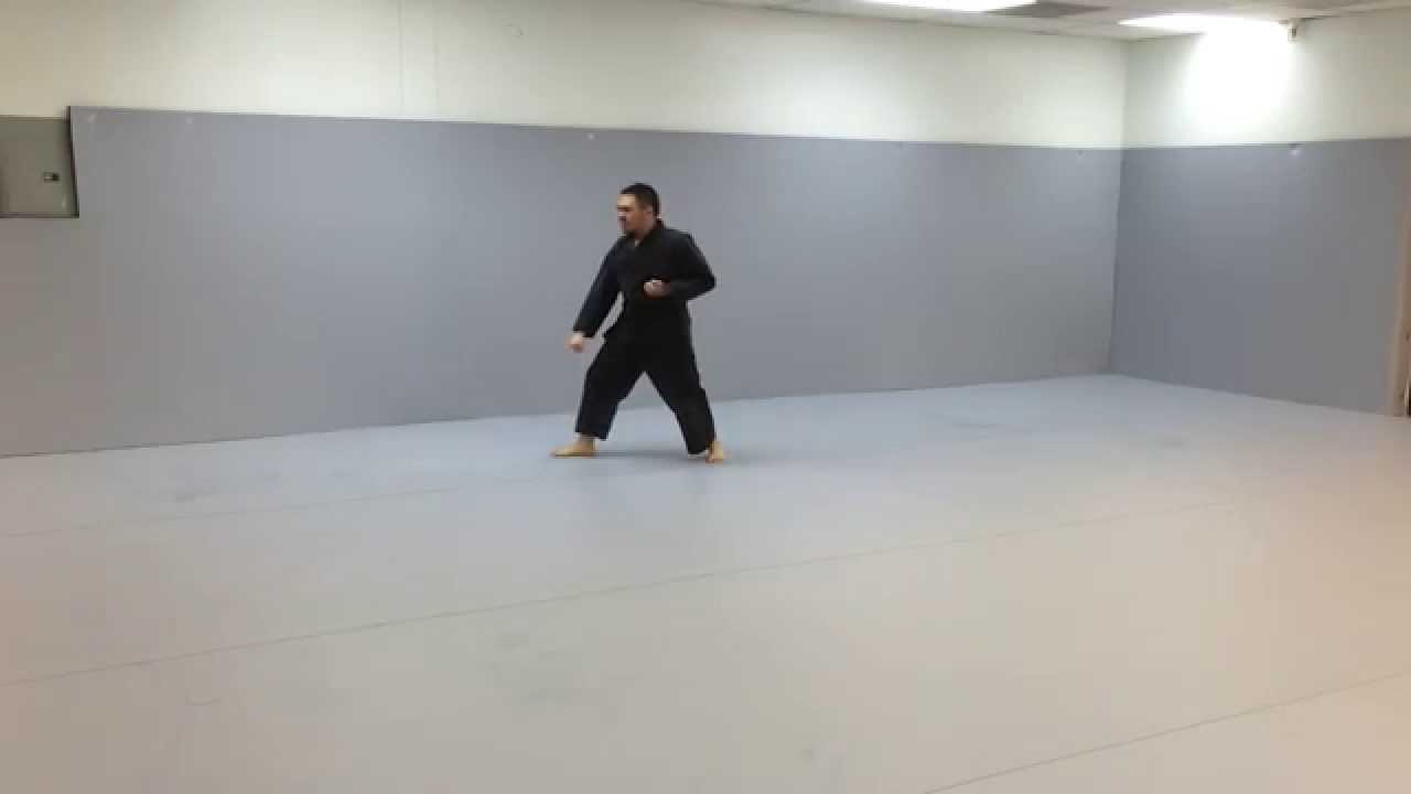 Form - Pinan 2 - Kempo Karate Walnut Creek - Iron Monkey - YouTube