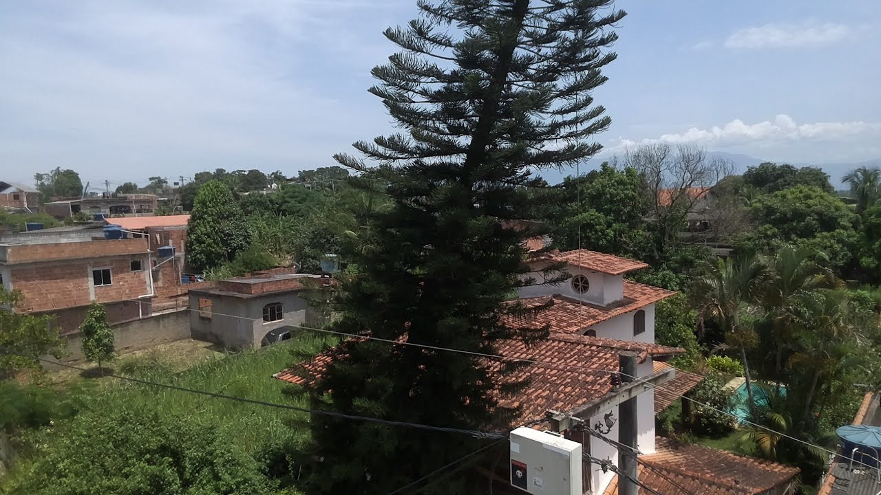 Corte do Pinheiro - YouTube