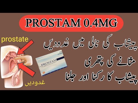 PROSTAM 0.4mg capsule uses in Urdu | Prostam capsule benifits ...