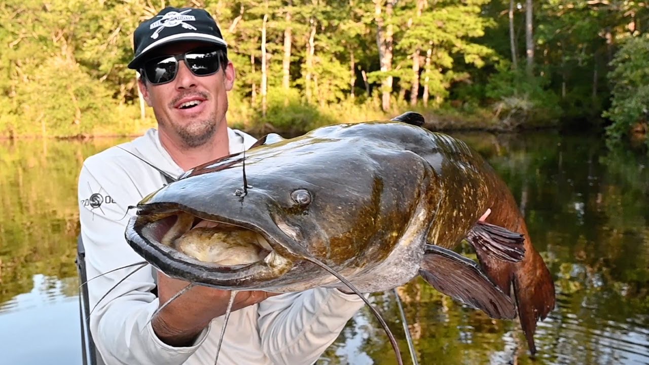 RIVER MONSTERS | Dark Water Creeks of Florida - Fly Fishing x Bluegill ...