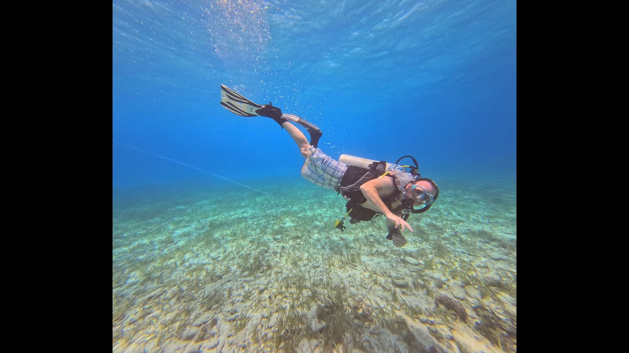Barracuda sighting while scuba diving off Little Bells Cay, Bahamas ...